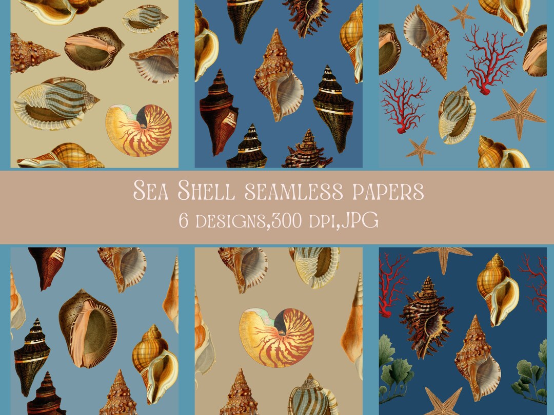 Sea Shells Wall Art Print Sea Life Digital Repeat Seamless Pattern ...