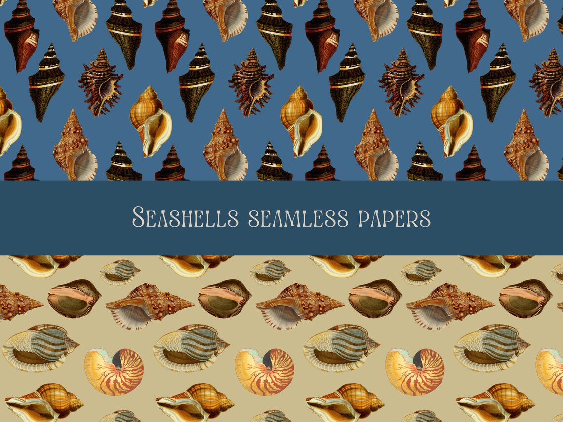 Sea Shells Wall Art Print Sea Life Digital Repeat Seamless Pattern ...