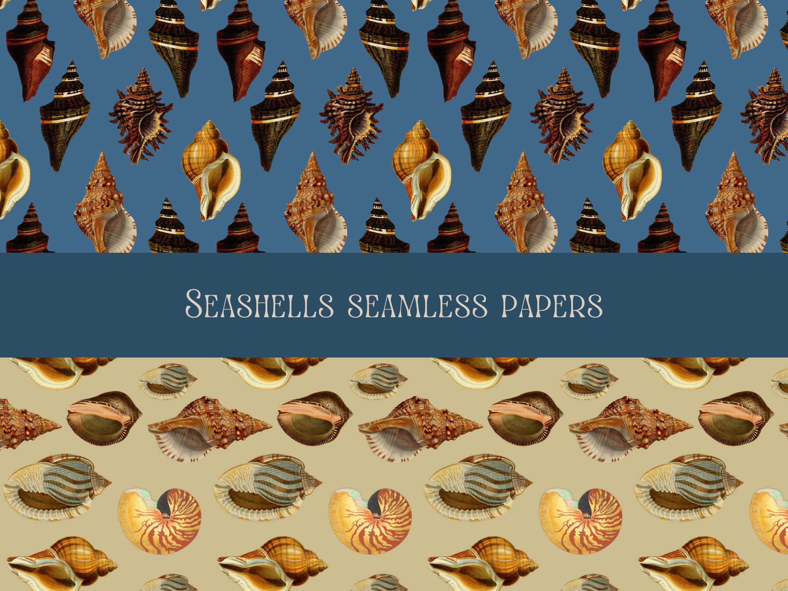 Sea Shells Wall Art Print Sea Life Digital Repeat Seamless Pattern ...