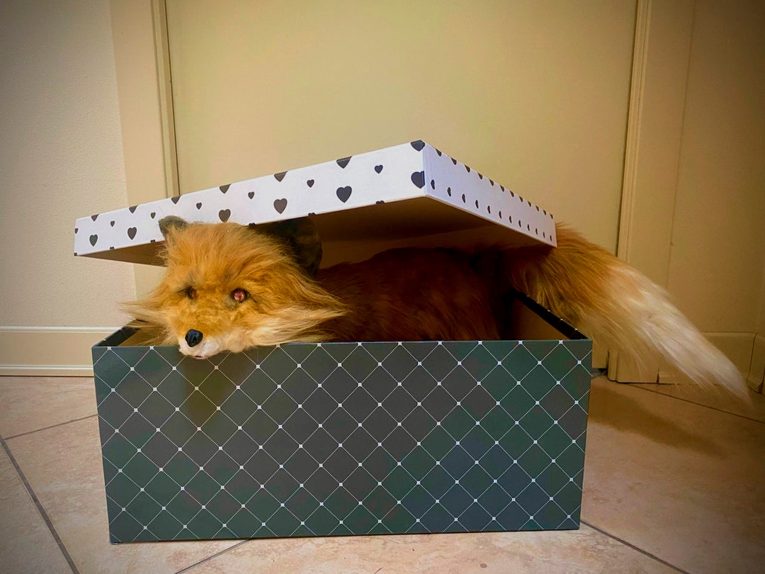 Realistic Fox Custom Stuff Plush,realistic Fox, Realistic Fox Plush Toy ...