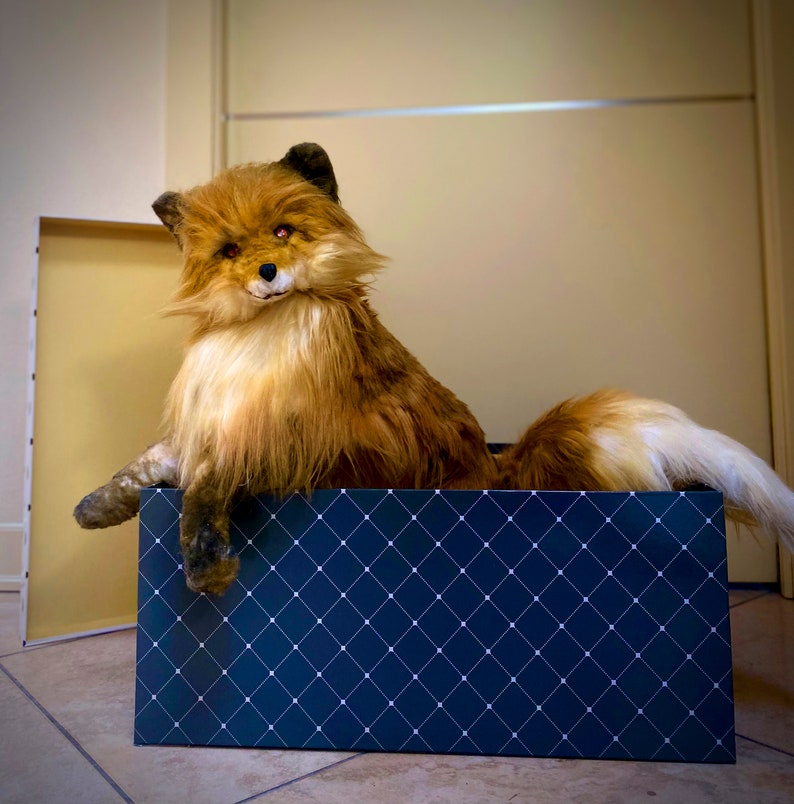 Realistic Fox Custom Stuff Plush,realistic Fox, Realistic Fox Plush Toy ...