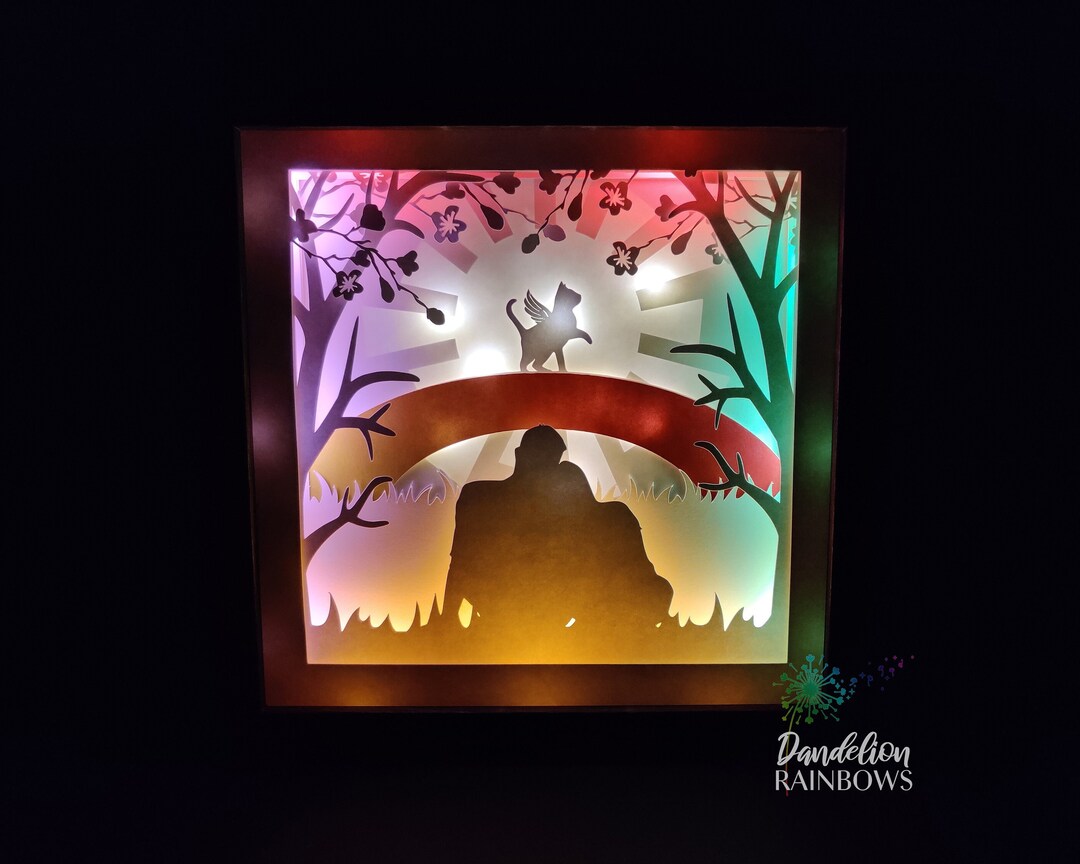 Cat Memorial Shadow Box Light up Shadow Box Cat Sympathy - Etsy