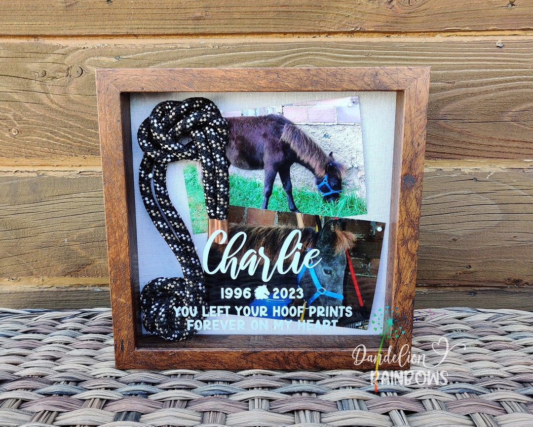 Horse Memorial Shadow Box, Horse Keepsake, Horse Sympathy, Horse ...