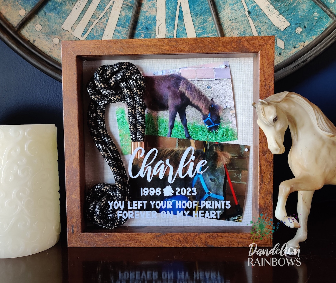 Horse Memorial Shadow Box Horse Keepsake Horse Sympathy - Etsy