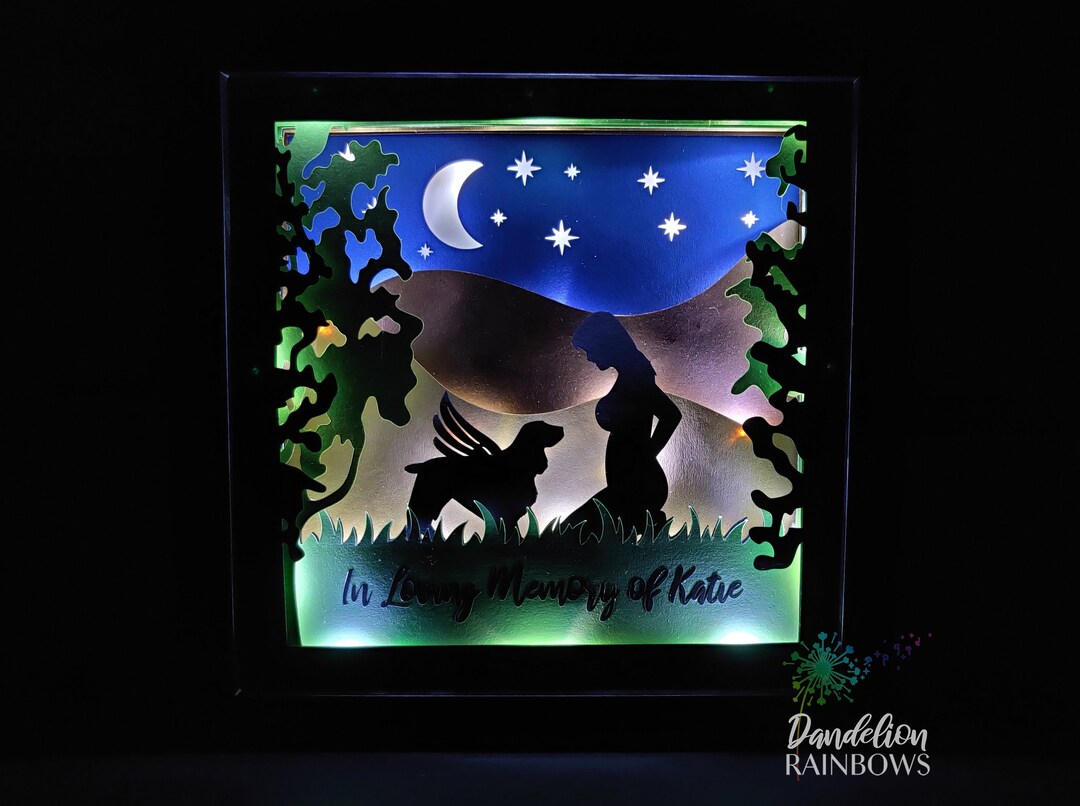 Pet Memorial Shadow Box Light up Shadow Box Pet Sympathy - Etsy
