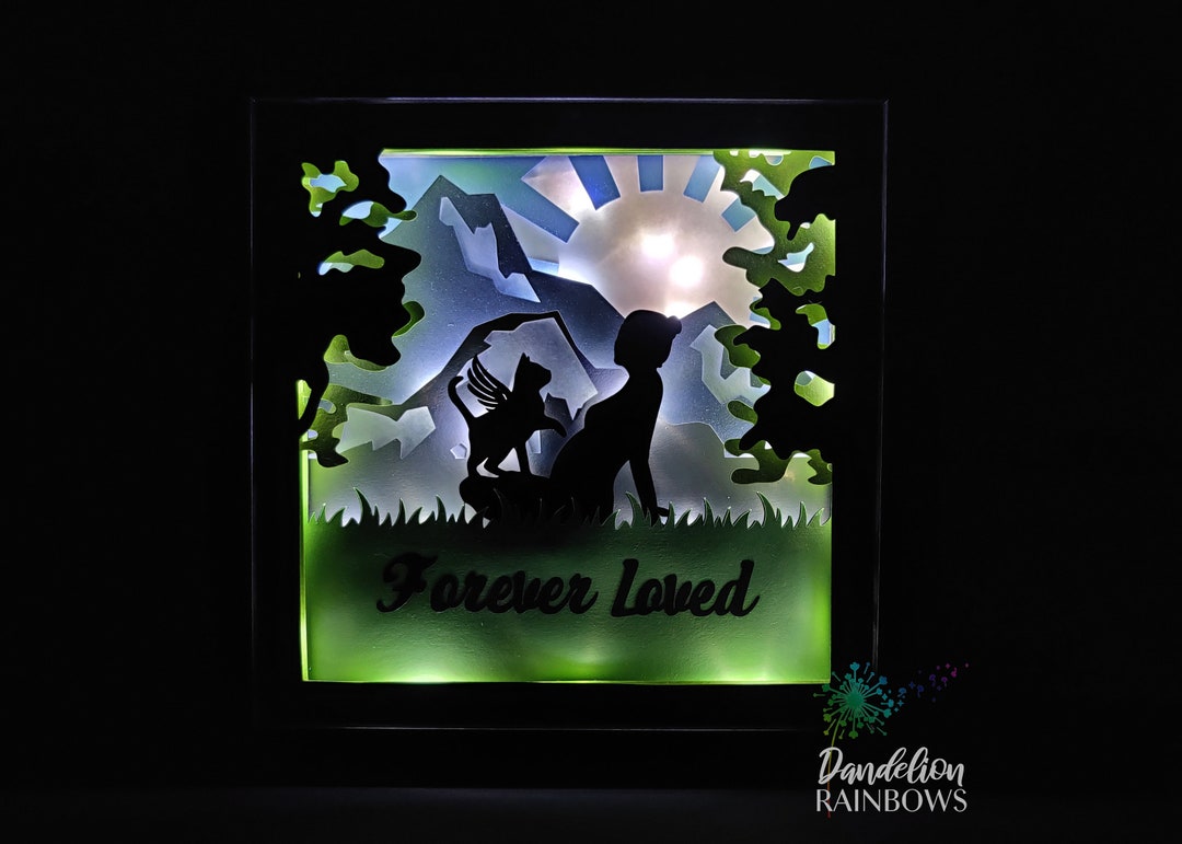 Cat Memorial Shadow Box Light up Shadow Box Cat Sympathy - Etsy