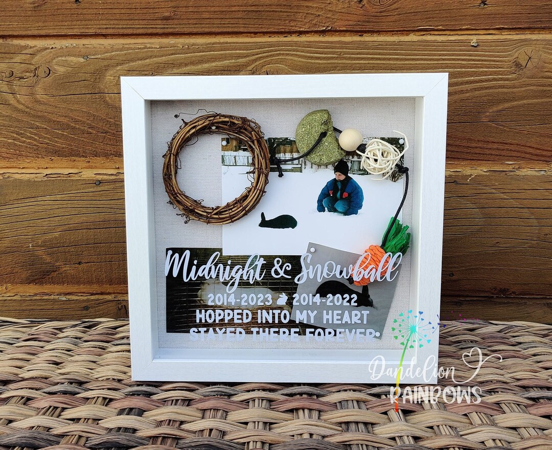 Rabbit Memorial Shadow Box, Rabbit Keepsake, Rabbit Sympathy, Rabbit ...
