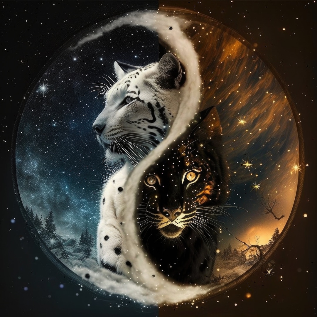 Cosmic Cats Yin and Yang - Yin and Yang Digital Art Download, Fantasy ...