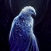 Spectral Animals Download, Spectral Tiger, Lion, Fox, Owl, and Eagle ...