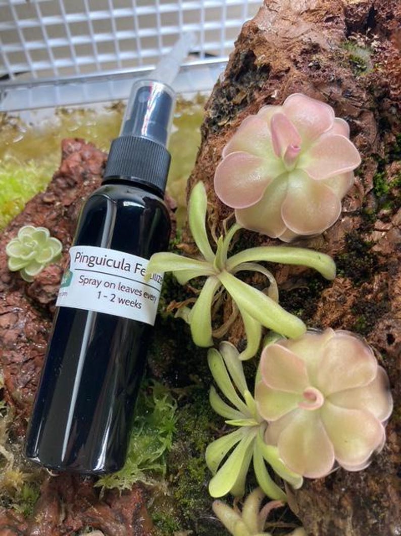 Pinguicula Fertilizer [2oz Spray Bottle] - Carnivorous Plant Food, 16 ...
