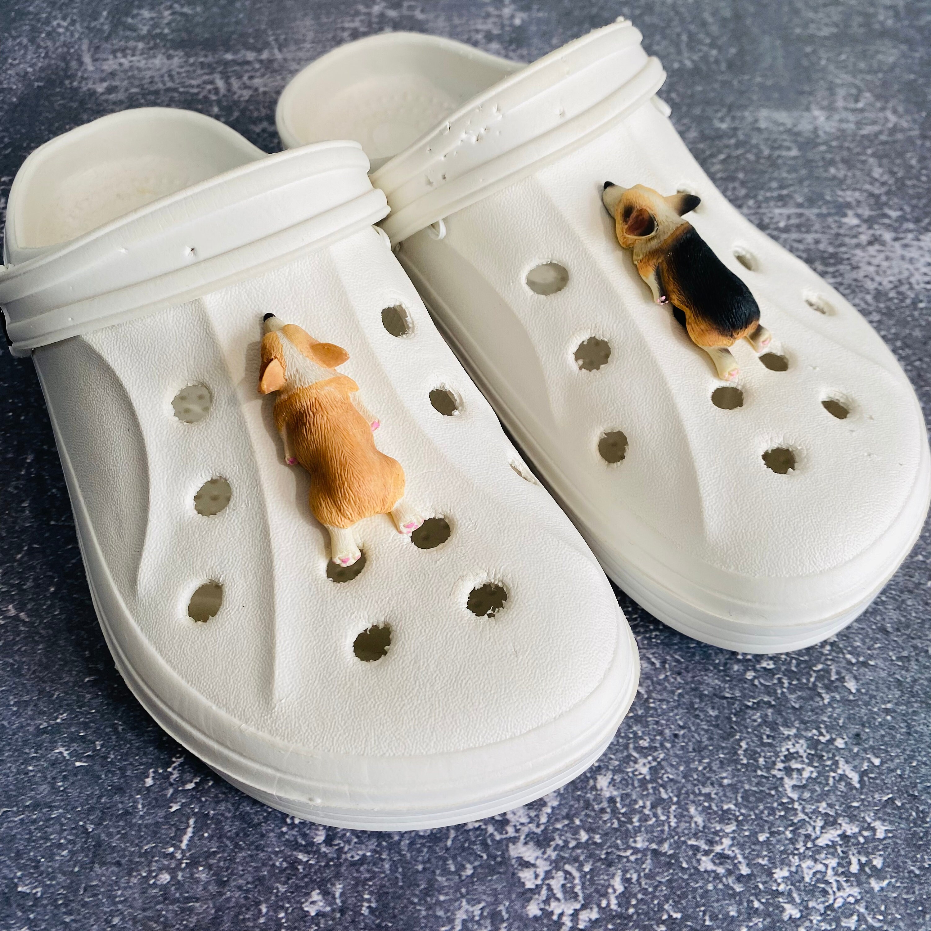 Corgi Shoe Charms,lovely Dog Resin Charms,3d Dog Animal Buckle for ...