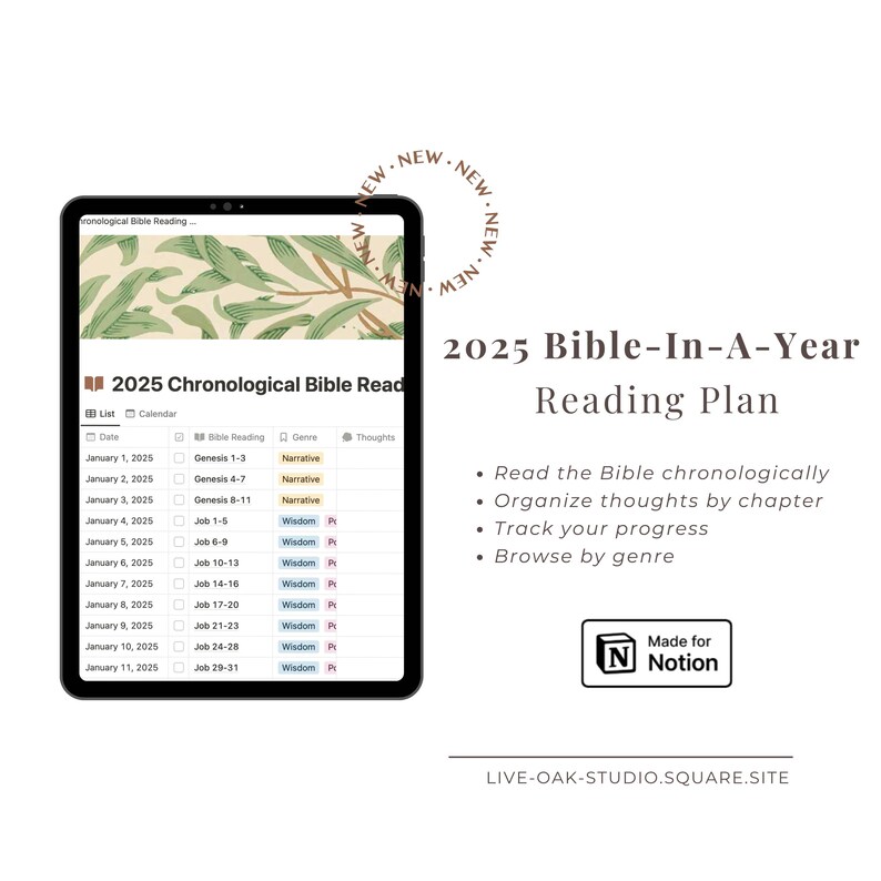 Bible Study Notion Template 2025 Chronological Bible Reading Plan Digital Notion Template - Etsy