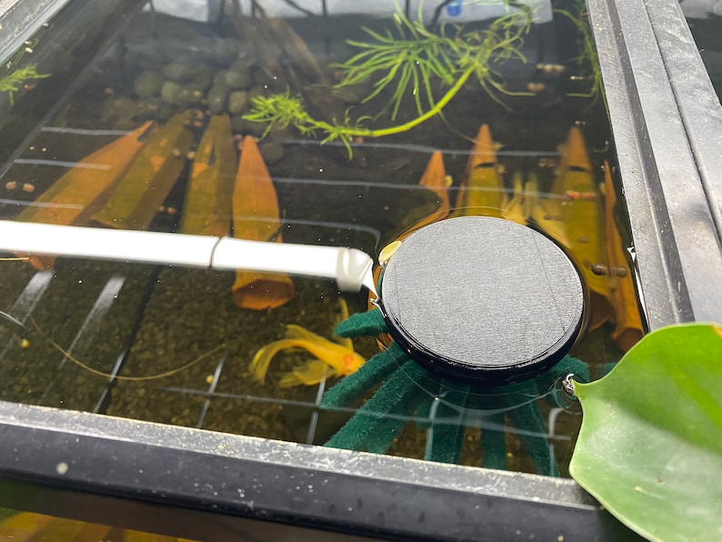 Floating Spawning Mop to Breed Ricefish, Rainbow Fish, Ect - Etsy