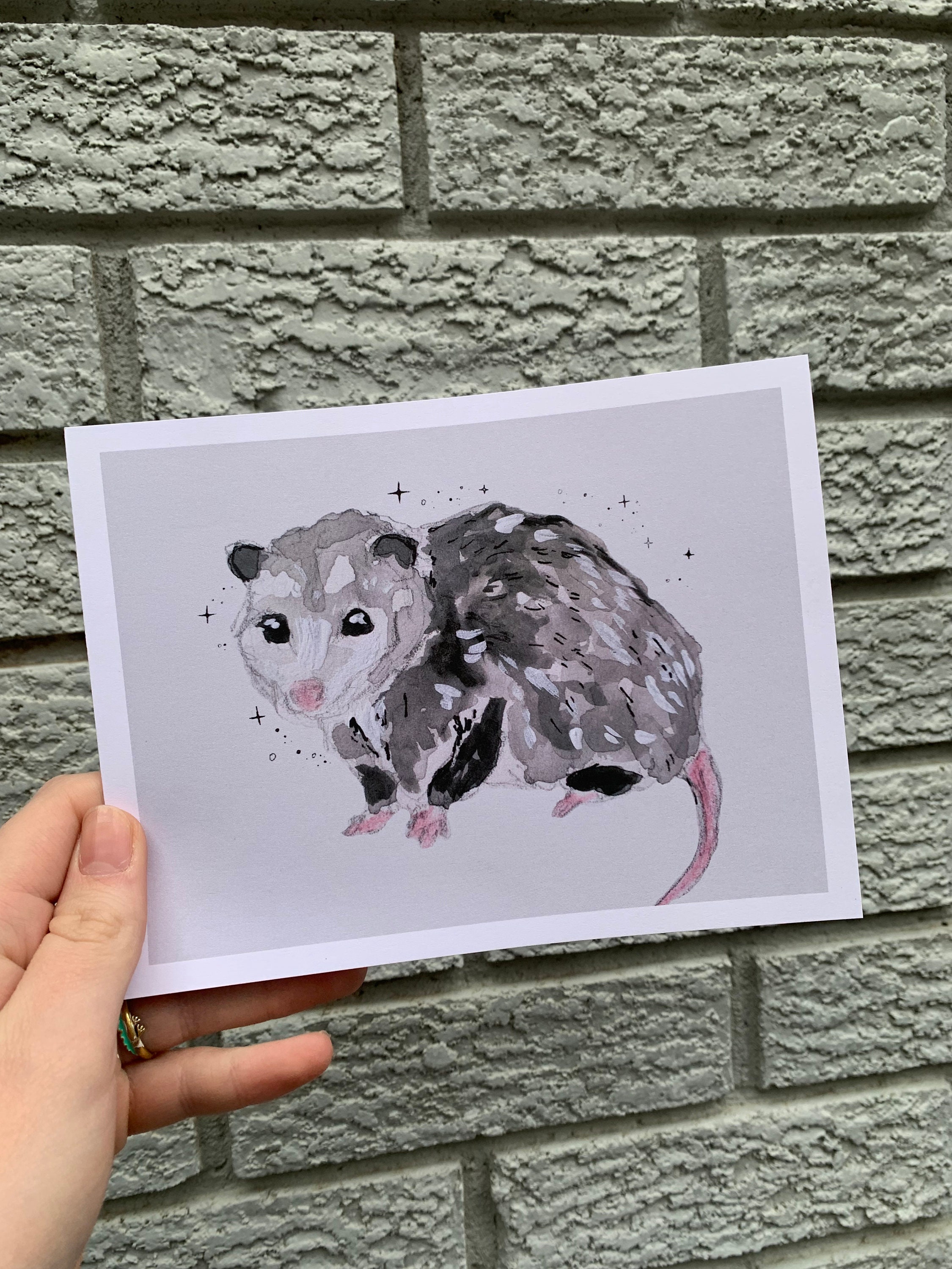 Fun To Draw Possum