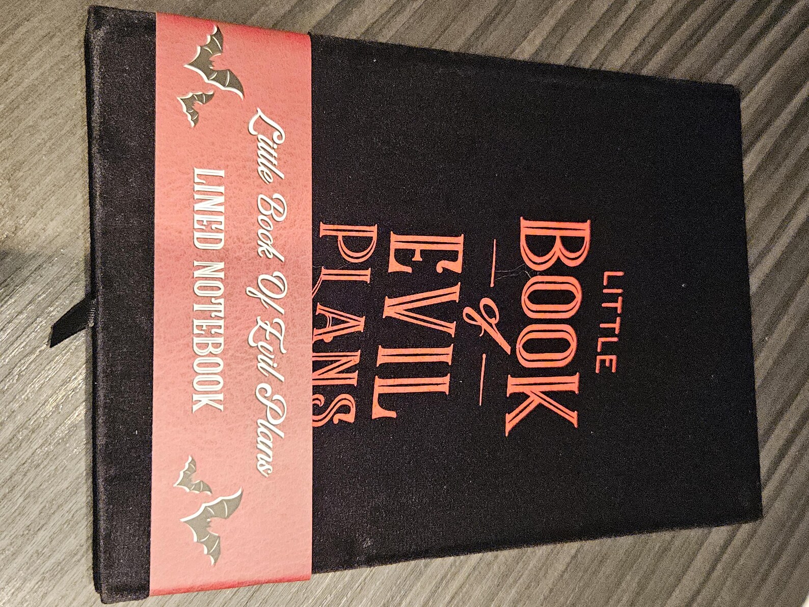 Little Book of Evil Plans A5 Notebook - Etsy UK