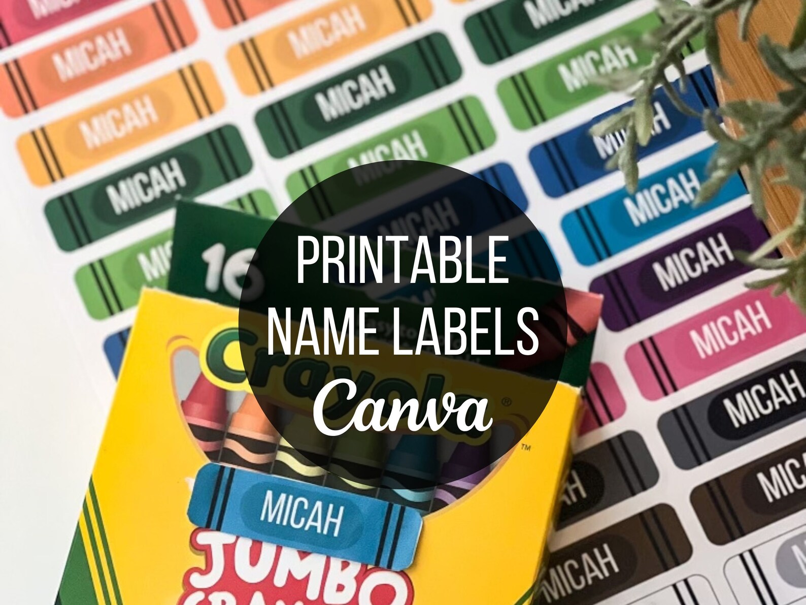 School Supply Labels / Name Labels for School Supplies / School Labels ...