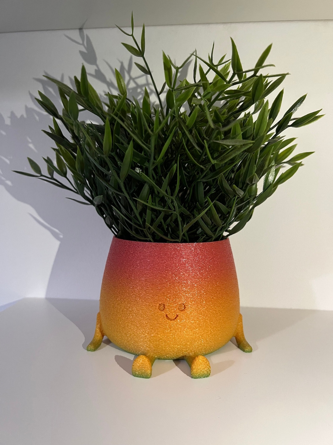 Happy Fuzzy Skin Face / Head Planter - Cute Succulent Plant Pot - 3D ...