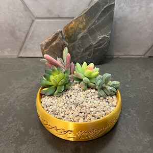 The One Ring - Succulent Planter Pot - Inspired by Lord of the Rings ...