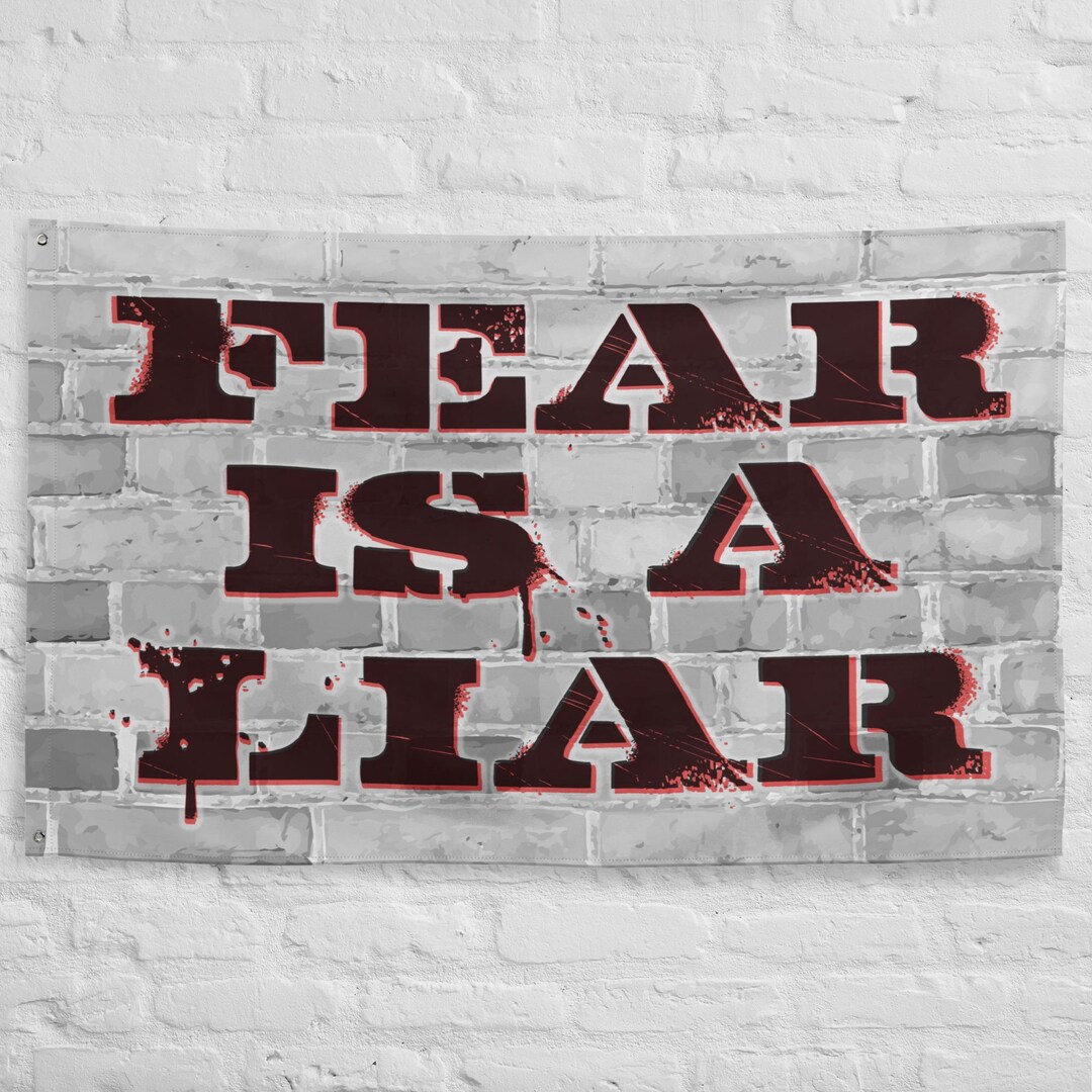 Fear is a Liar - Motivational Wall Art – Inspirational Brick Wall Print ...