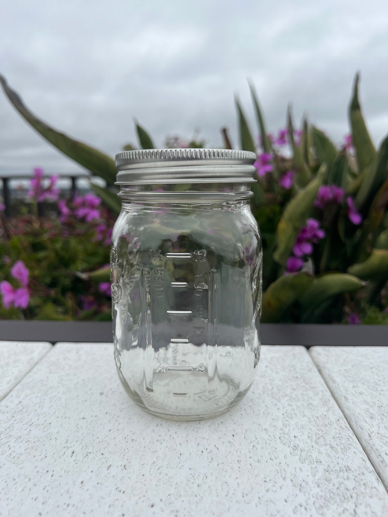 Honey Bee Jar | Ball Limited Edition 16oz Clear Jar - Etsy