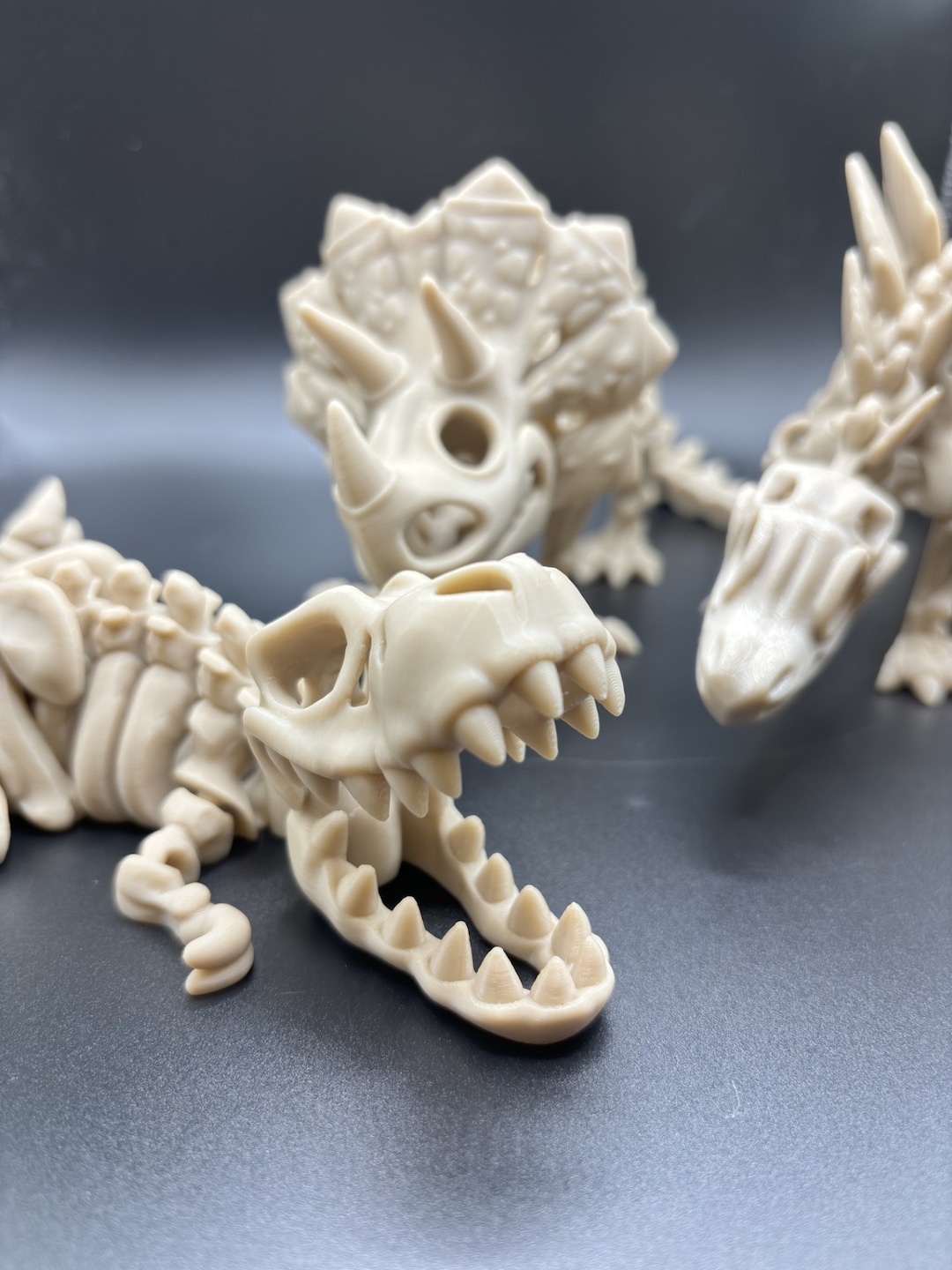 Flexi Skeleton Dinosaur Set - Etsy