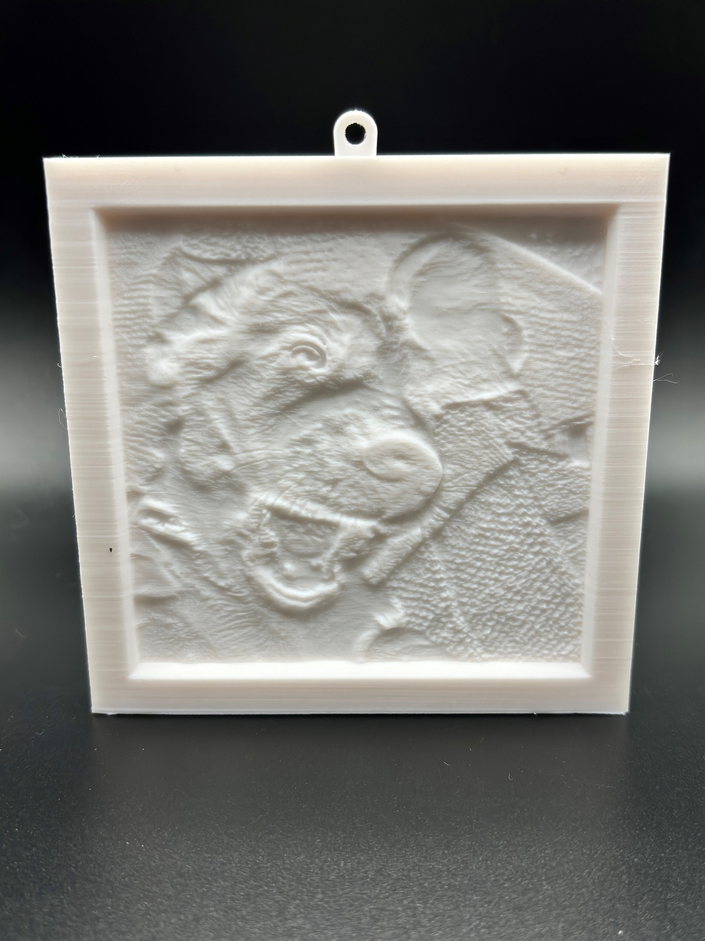 Custom 3D Printed Lithophane for Window - Etsy Canada