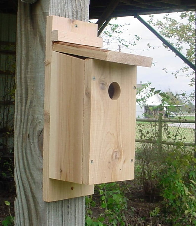 Downy Woodpecker House, 10.5", Nesting Box, Bird Houses by Mark, Made ...