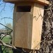 Slotted Bluebird House Box, Sparrow Resistant, 12", Bird Houses by Mark ...