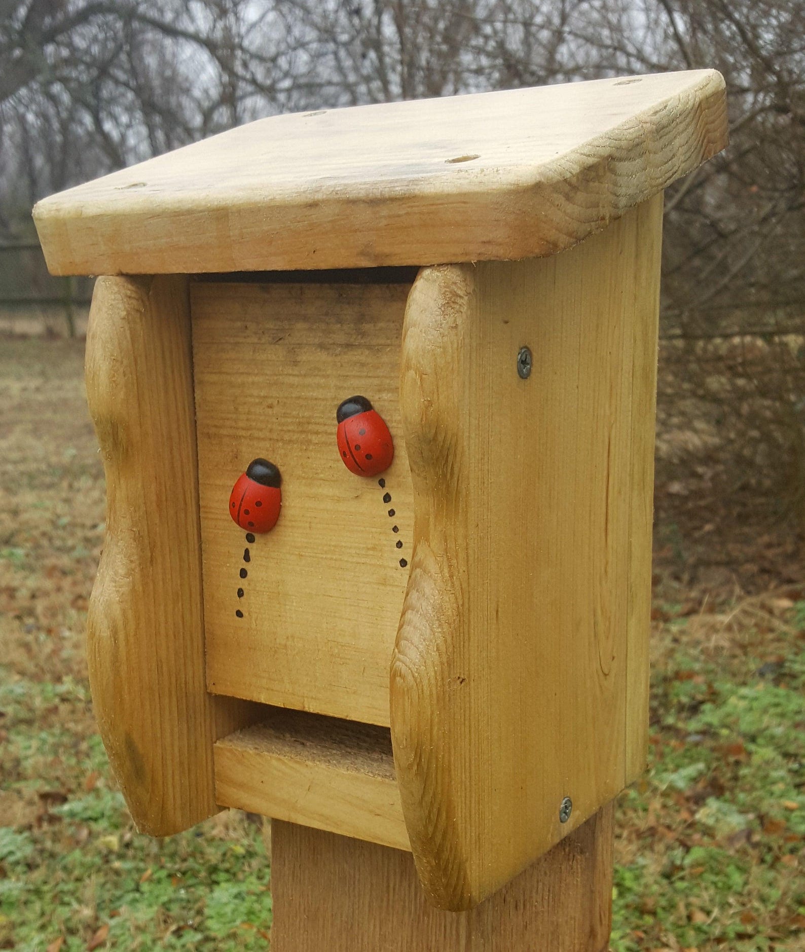 Ladybug House (cherry), 10", Bird Houses by Mark, Made in USA - Etsy