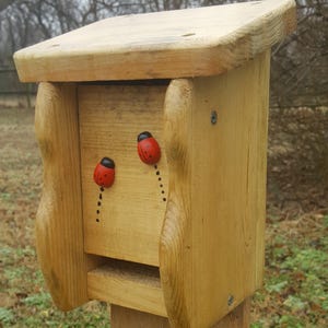 Ladybug House (cherry), 10", Bird Houses by Mark, Made in USA - Etsy
