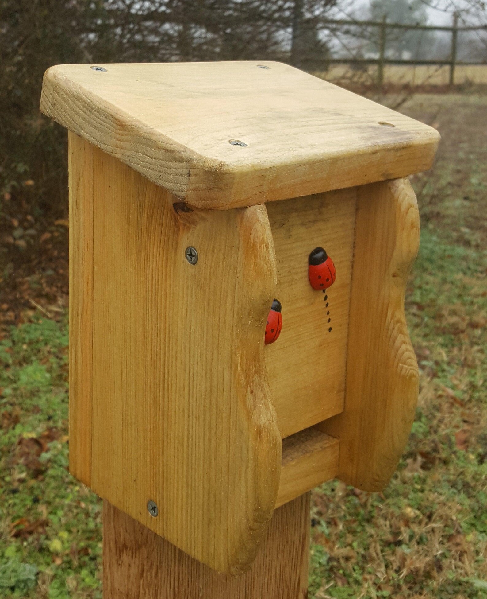 Ladybug House (cherry), 10", Bird Houses by Mark, Made in USA - Etsy