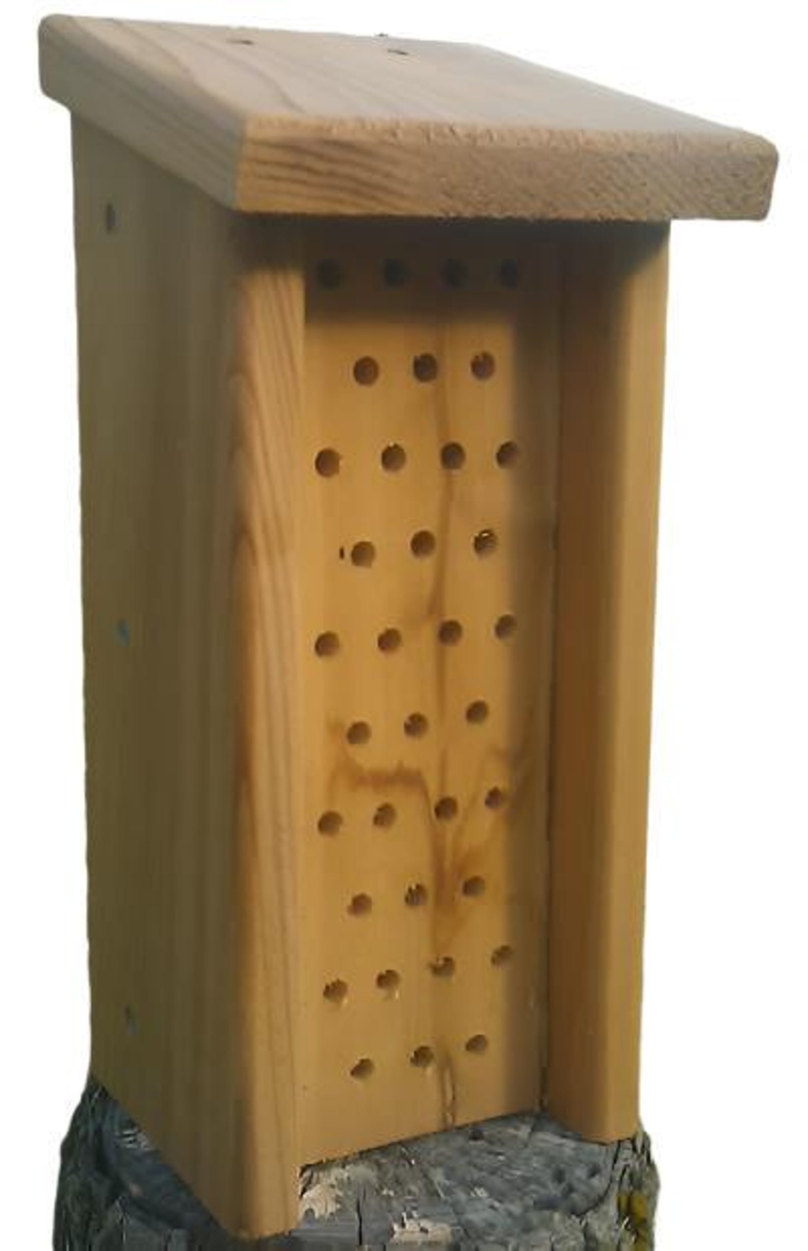 Mason Bee House (slanted Roof), 13", Bird Houses by Mark, Made in USA ...