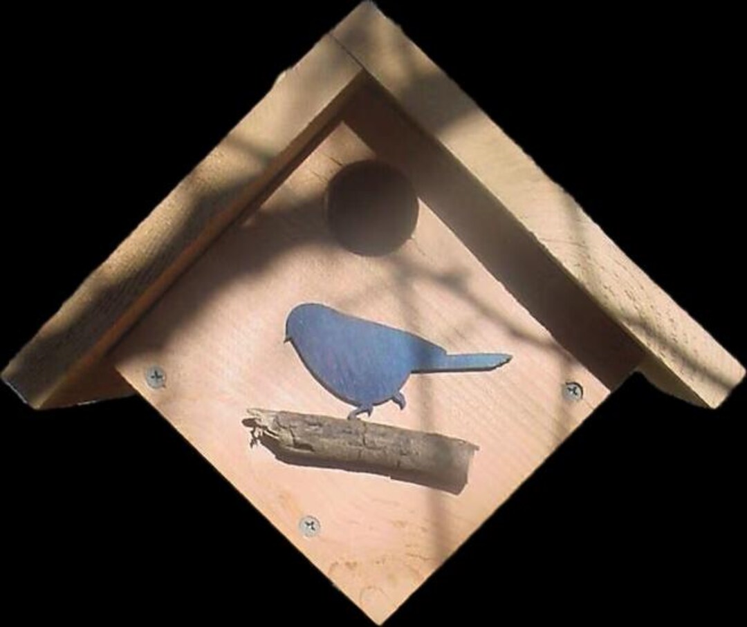 Cube Bird House, 11", Nesting Box, Bird Houses by Mark, Made in USA - Etsy