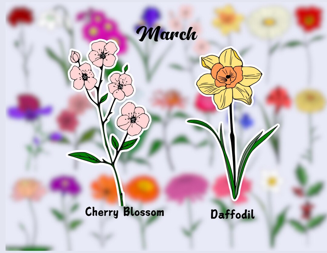 Birth Flower Waterproof Vinyl Stickers | March Flower Sticker| Birth ...
