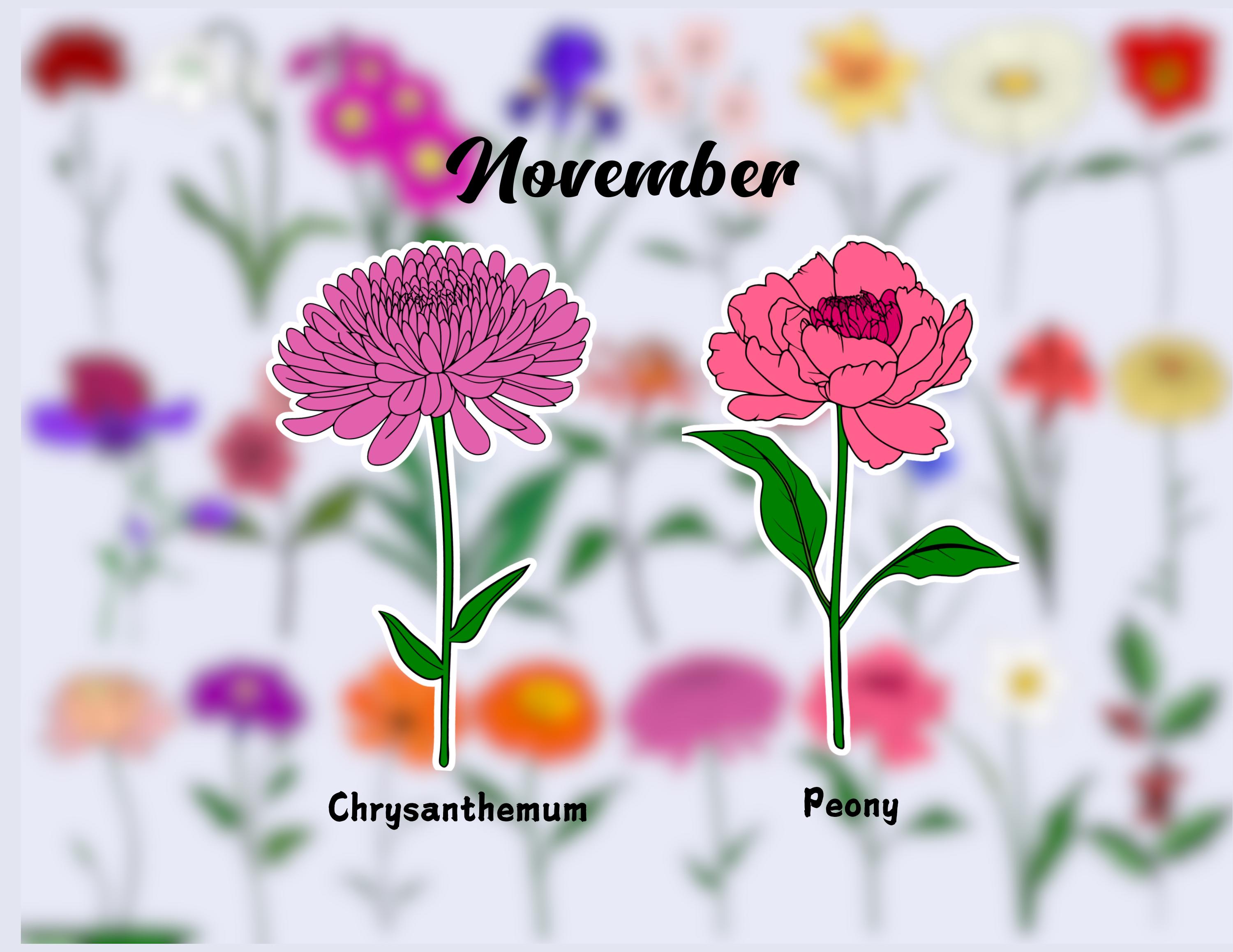 Birth Flower Waterproof Vinyl Stickers|july Flower Sticker|birth Month ...