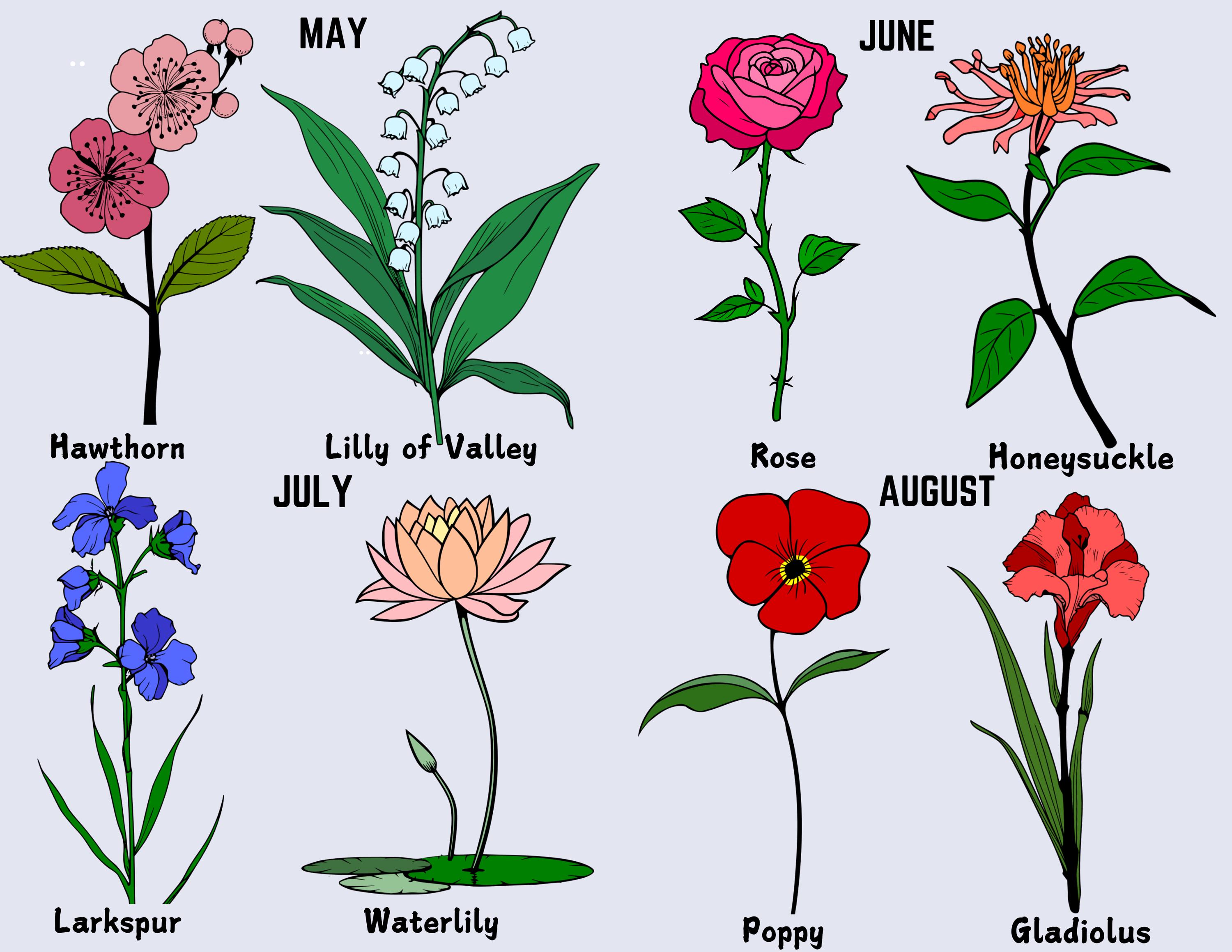 Birth Flower Waterproof Vinyl Stickers|july Flower Sticker|birth Month ...