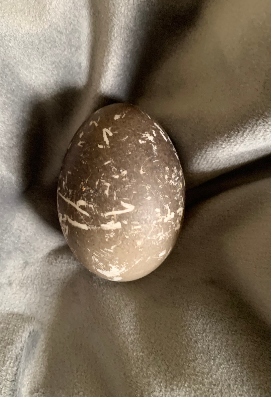 Fresh Cayuga Duck Eggs-beautiful Dark Shells Fade to a Light Grey Color ...