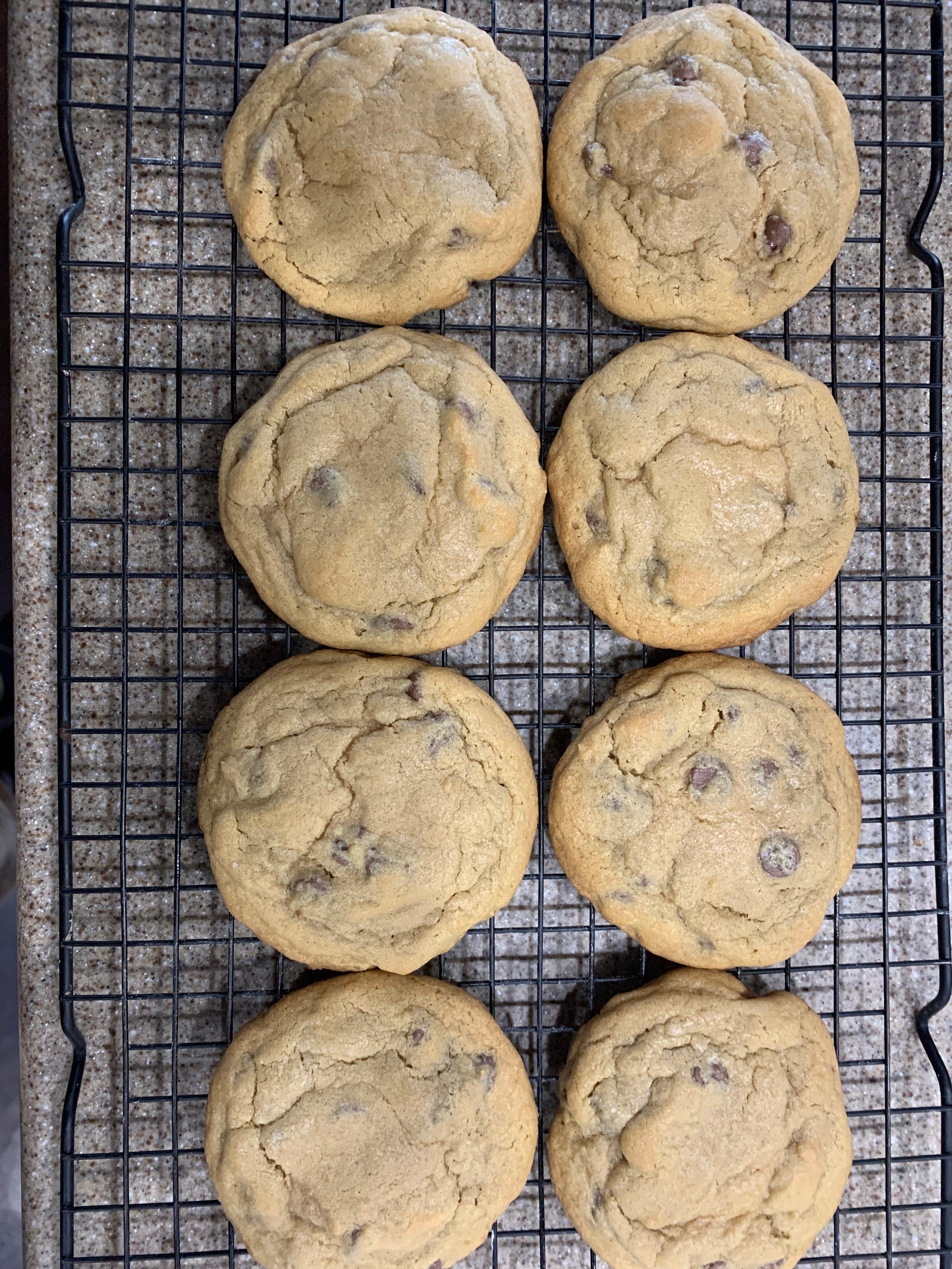 Duck N Cluck Tin Can Cookies. Allergy Friendly Novelty Treats. Duck Egg ...