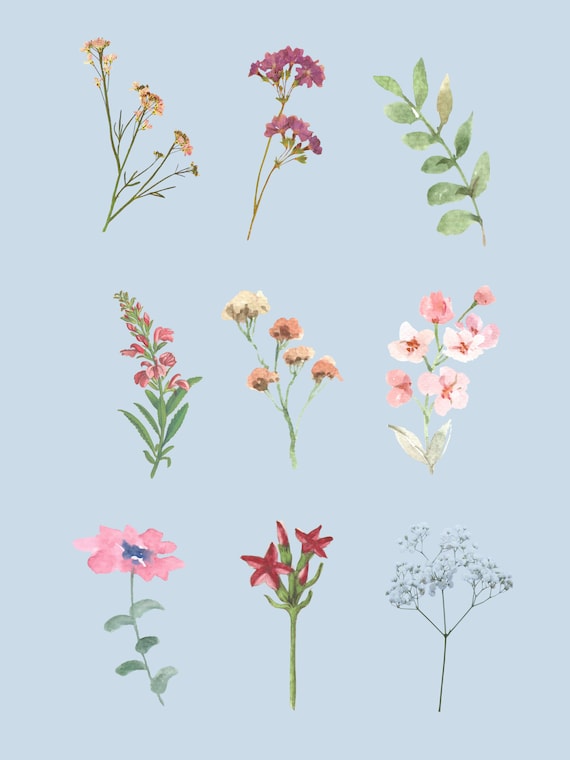 Flower Poster Printable Wall Art Digital Download - Etsy