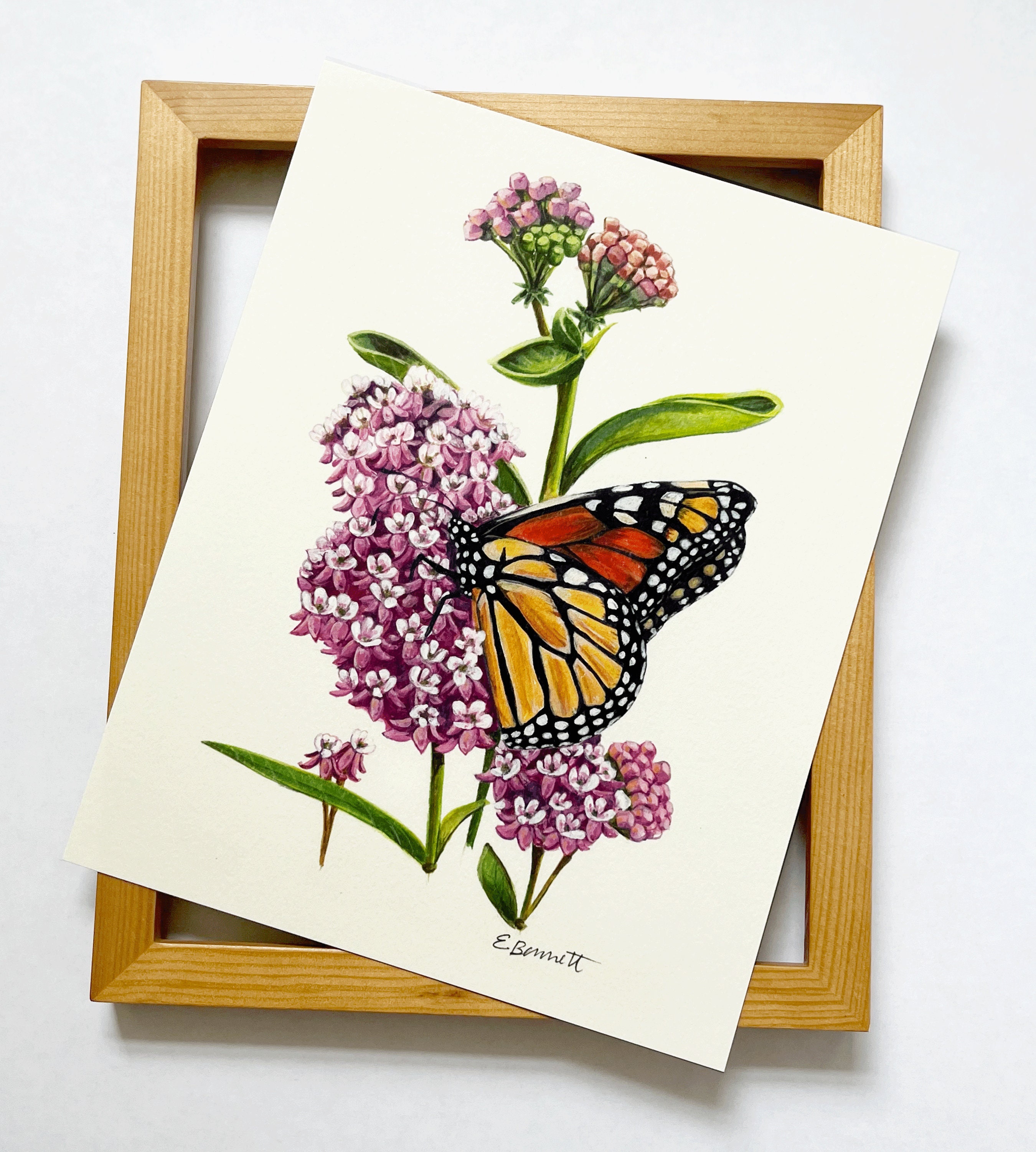 Monarch Butterfly on Milkweed Flower Art Print - Etsy