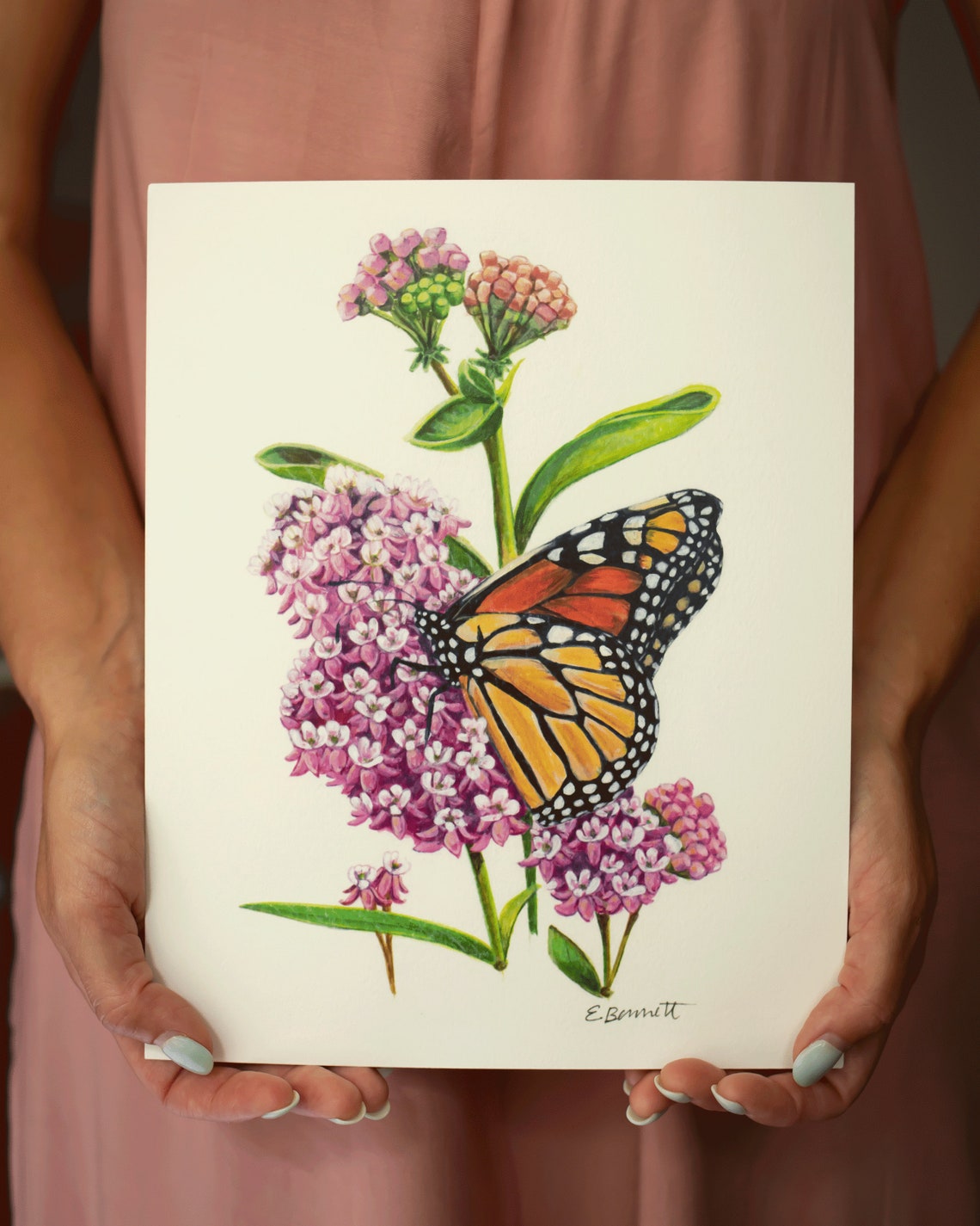 Monarch Butterfly on Milkweed Flower Art Print - Etsy