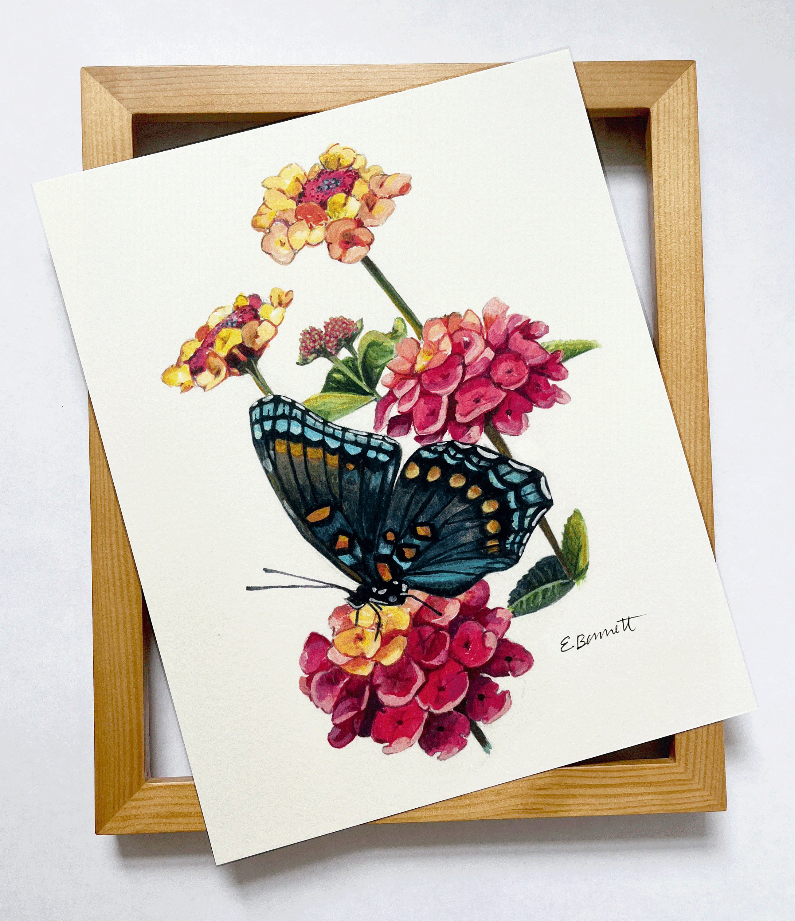 Red-spotted Purple Butterfly Art Print - Etsy