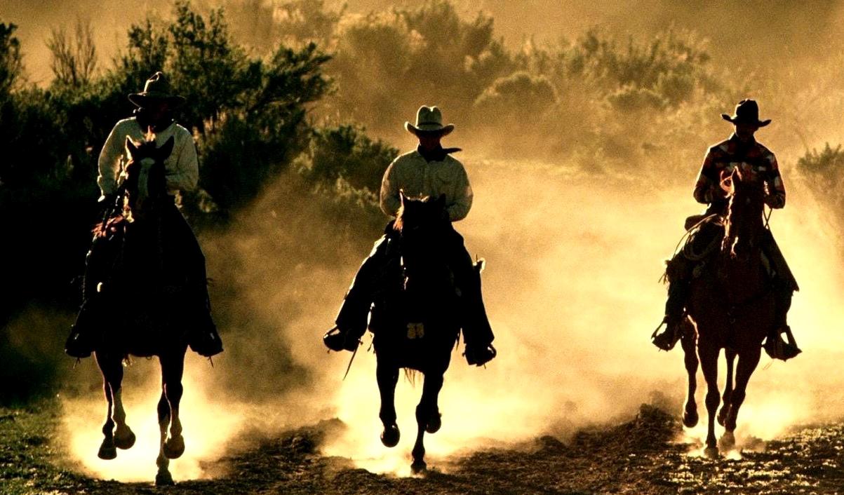 Cowboy,western,art,print,framed Giclee, Southwestern, Horses, “riders ...