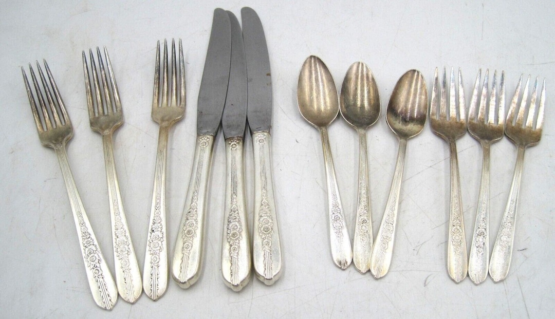 12 Pieces Oneida Royal Rose Silverplate Silverware Flatware - Etsy