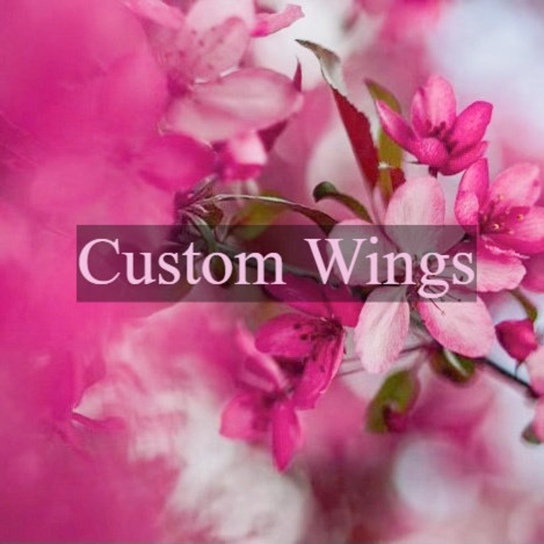 Custom Wings! - Etsy