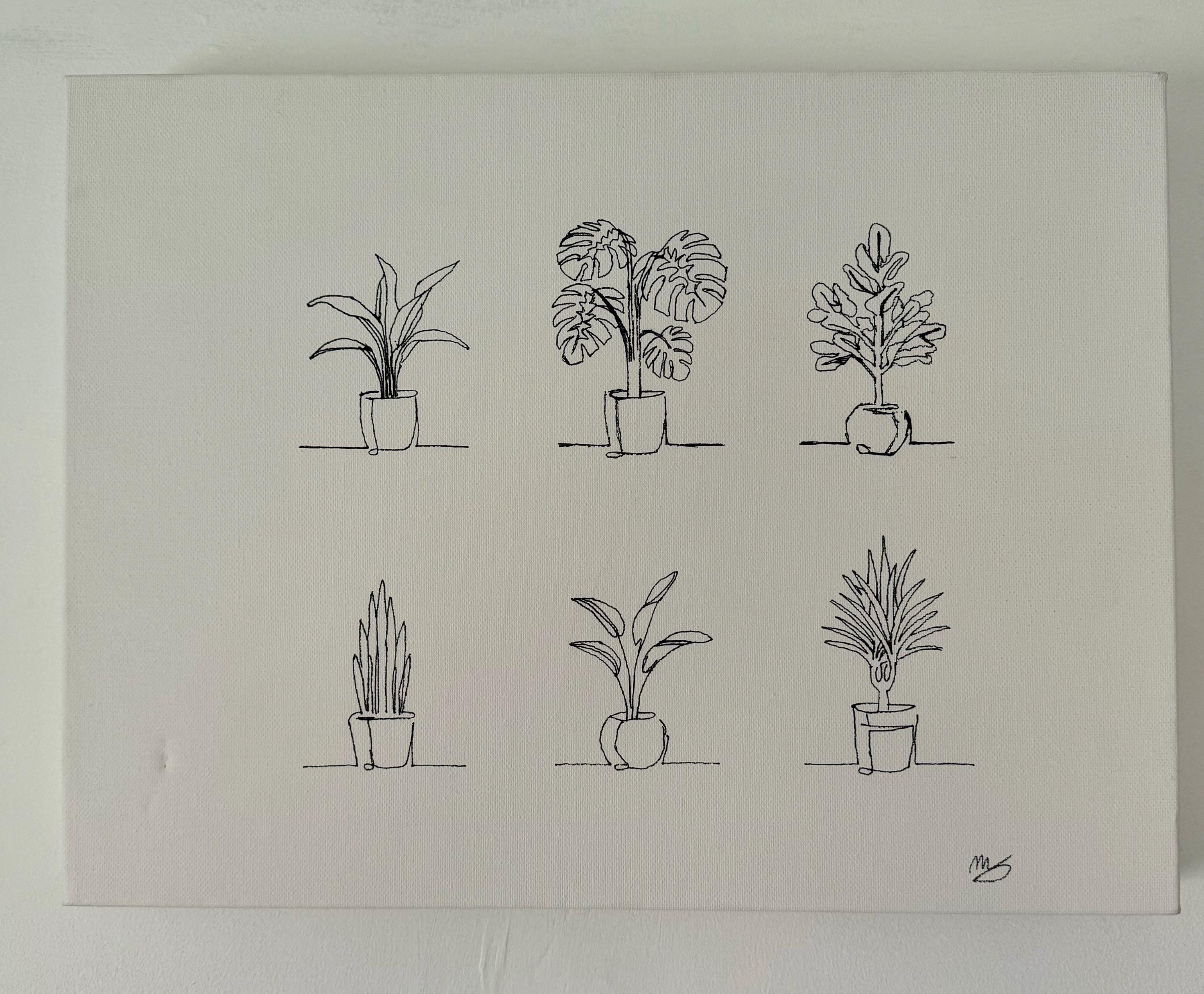 Line Drawing : Flower Pots - Etsy