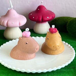 Capybara Candle, Capybara Decor, Capybara Gifts. Cottagecore Aesthetic ...