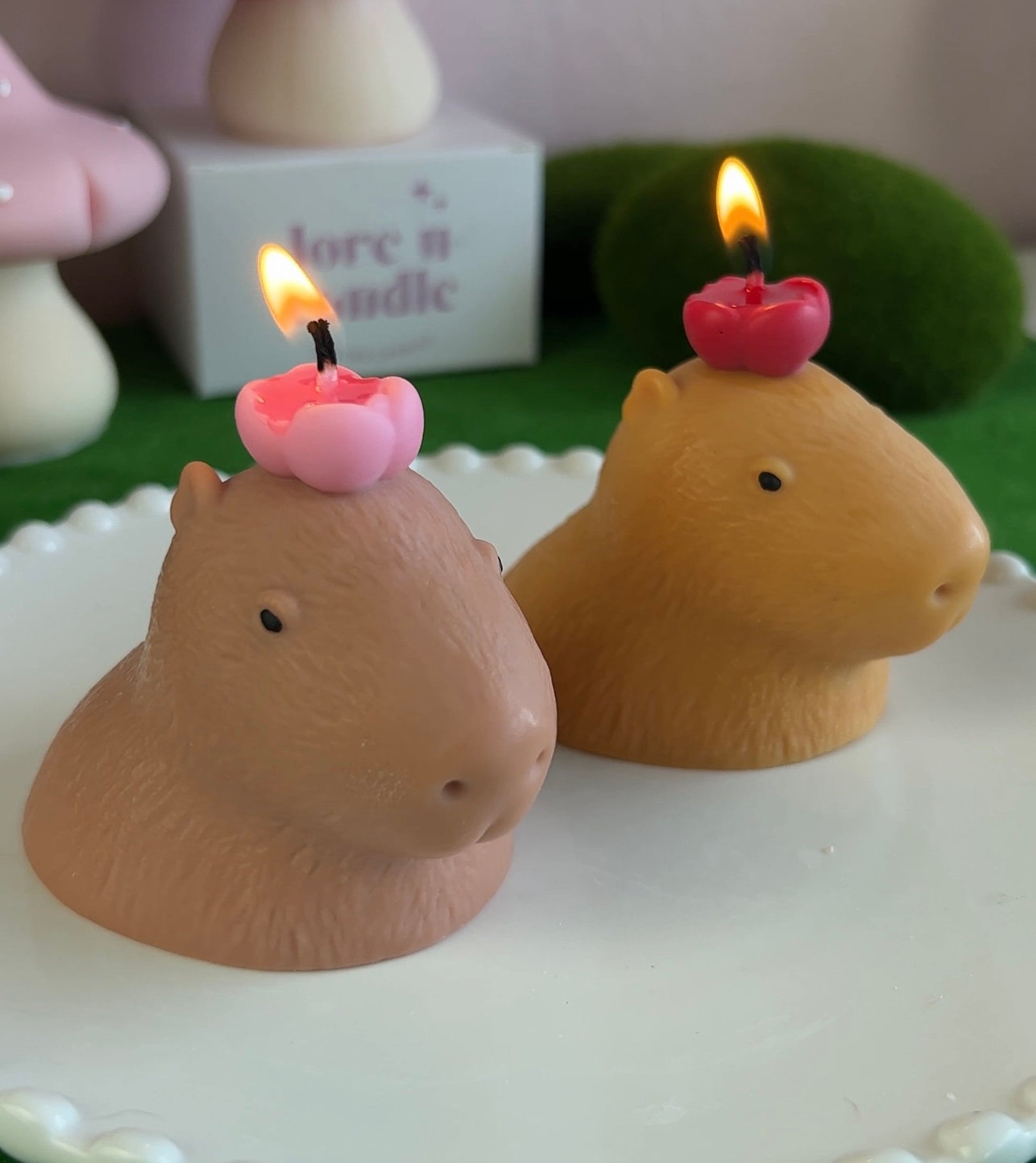 Capybara Candle, Capybara Decor, Capybara Gifts. Cottagecore Aesthetic ...