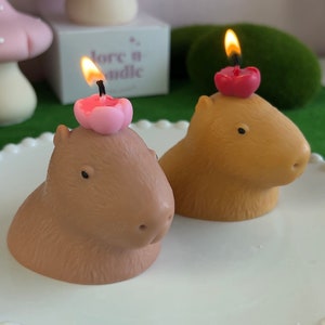 Capybara Candle, Capybara Decor, Capybara Gifts. Cottagecore Aesthetic ...