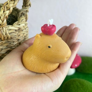Capybara Candle, Capybara Decor, Capybara Gifts. Cottagecore Aesthetic ...